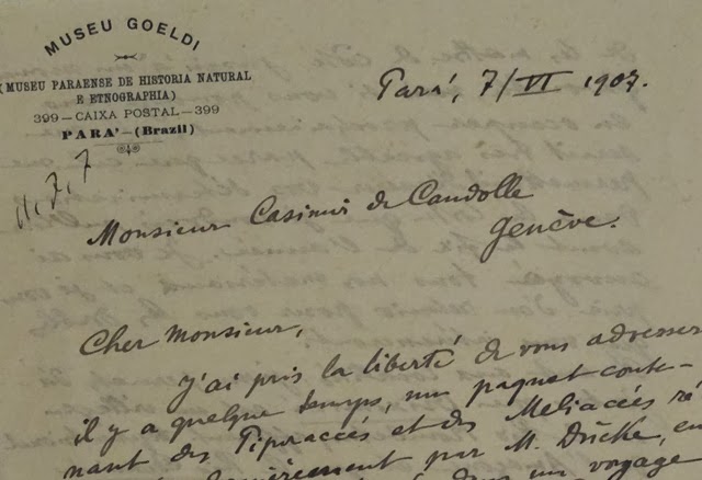 Jacques Huber and the Amazonian Botany: Archives/Libraries