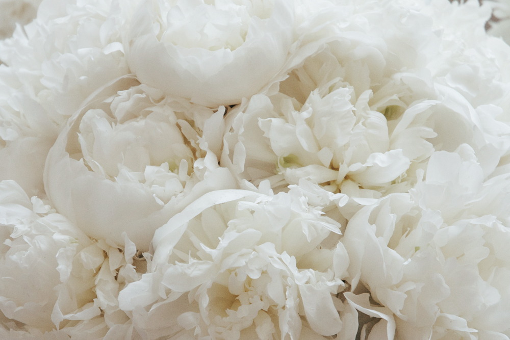 CITRON & SUEDE | BLISS KATHERINE