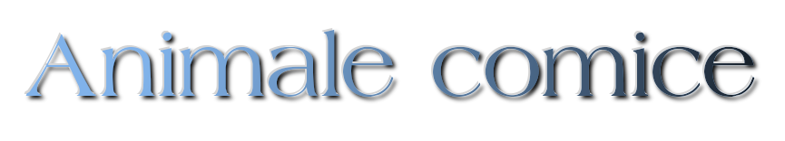 Animale comice | haioase | amuzante | funny