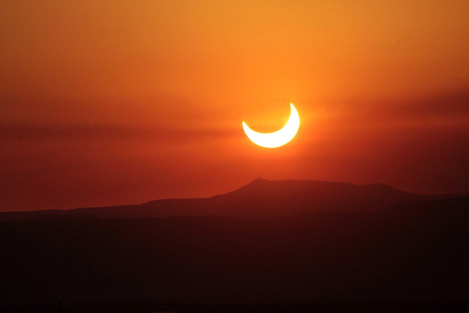 Views from Soledad Canyon: A Roadrunner, Two Amorous Lizards, and a ...