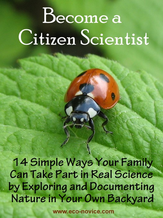 Citizen Science: 14 Ways Your Family Can Explore and Document Wildlife ...