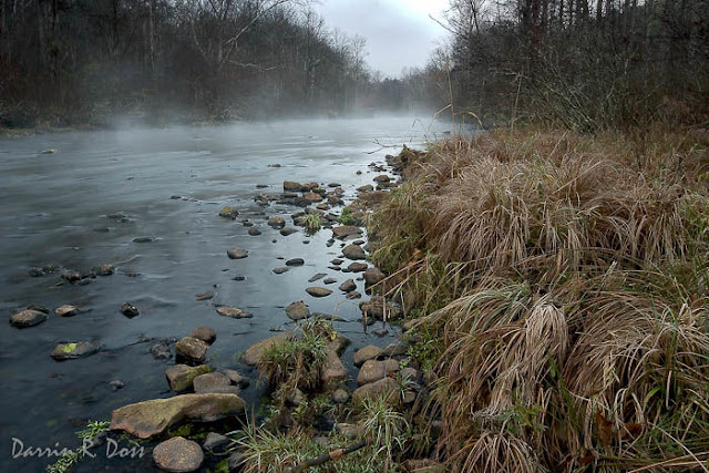Blue Ridge Foothills & Lakes Virginia Master Naturalists: Doss ...