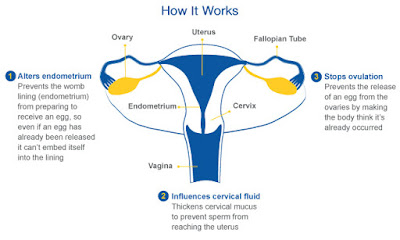 Jual Obat Postinor | 0821-2509-4509 | Kontrasepsi Darurat Bandung ...
