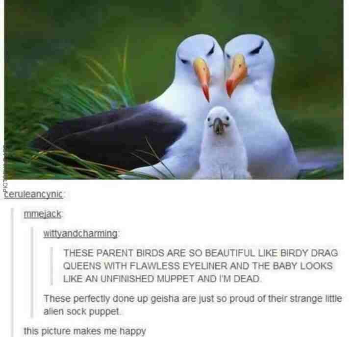 25 Funny Tumblr Memes to Make You Laughing Today | 9GIG