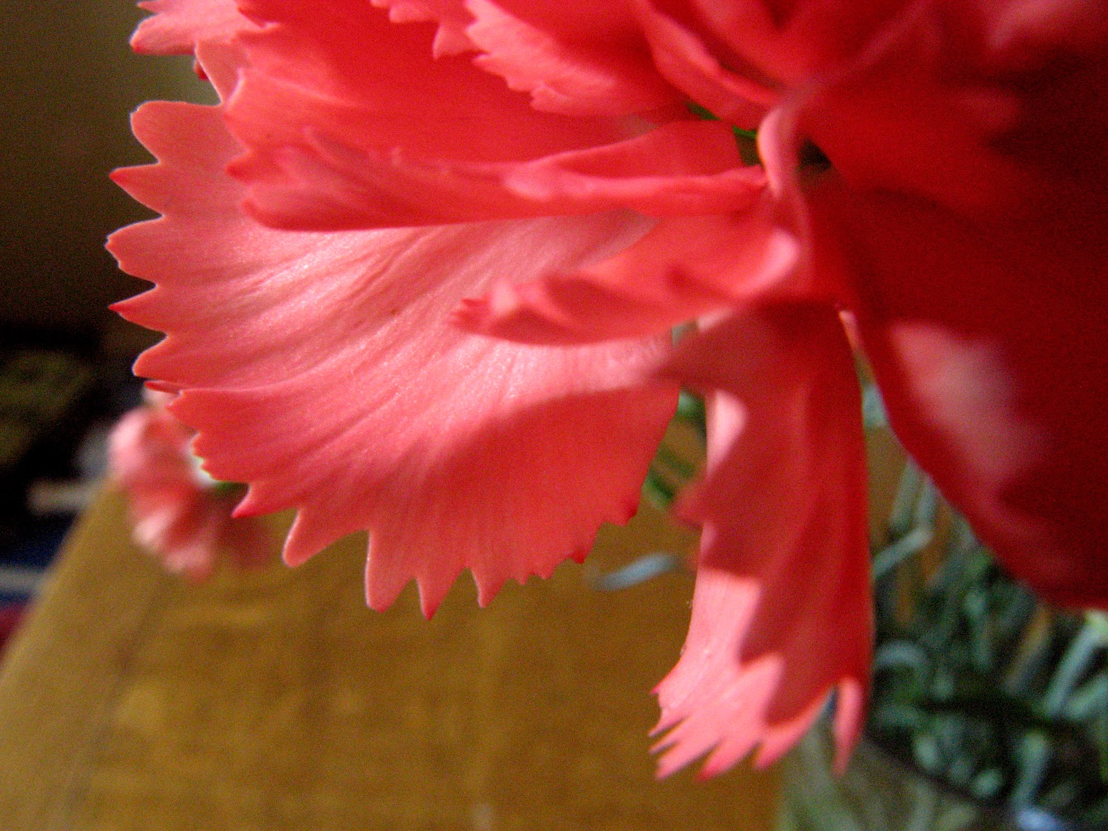 Frilly Petals