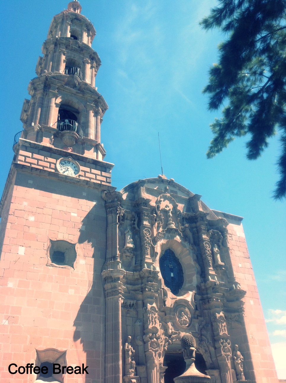 Coffee Break: El Templo del Encino y Alrededores en Aguascalientes