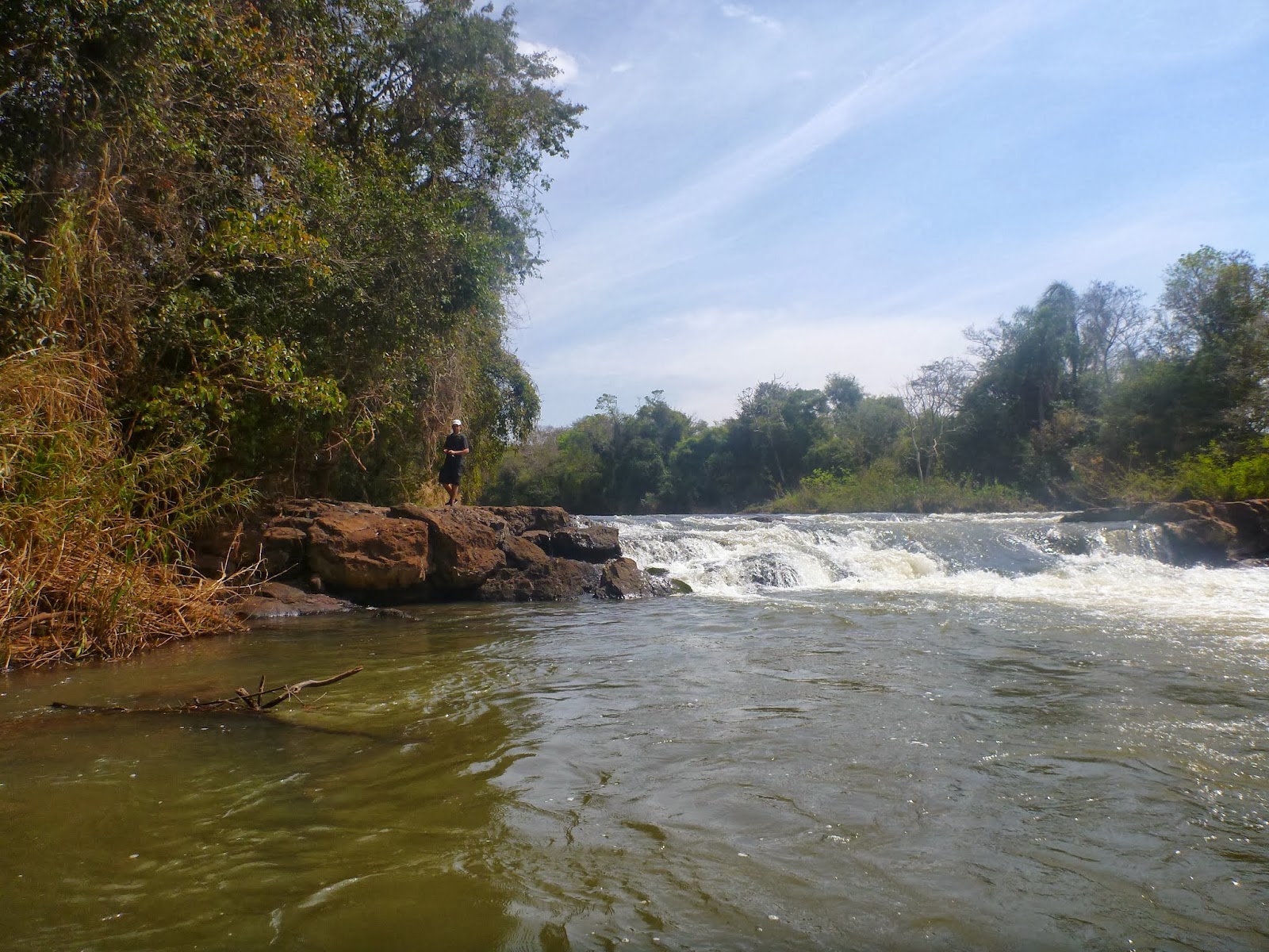 Distribuição de Esponjas Continentais no Baixo Curso do Rio da Bulha