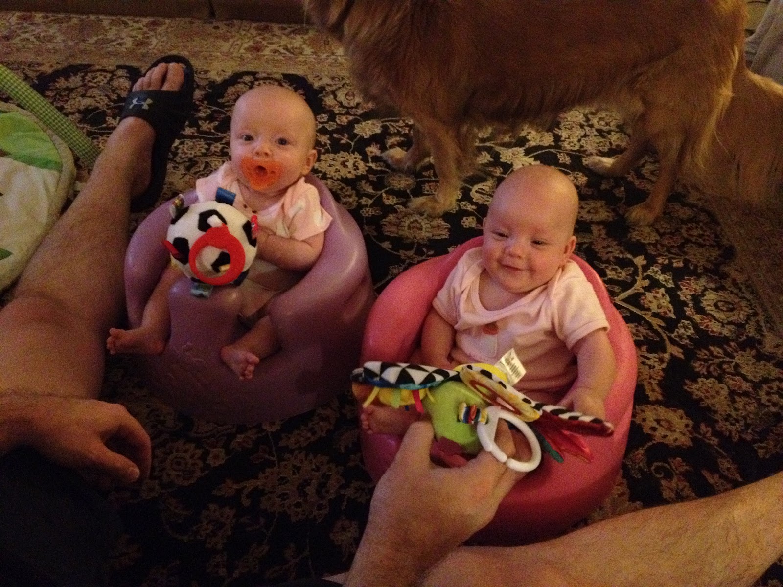 The Pair of Scates: Austin First Steps, plus My Last Week of Freedom!