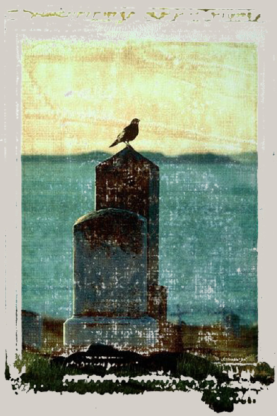 Reflections By The Bay: 5/20/12 - 5/27/12