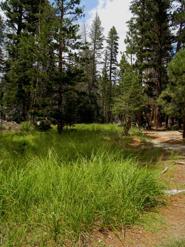 My Own 100 Hikes: HIke 2012.054A and B -- Desert View Trail and Round ...