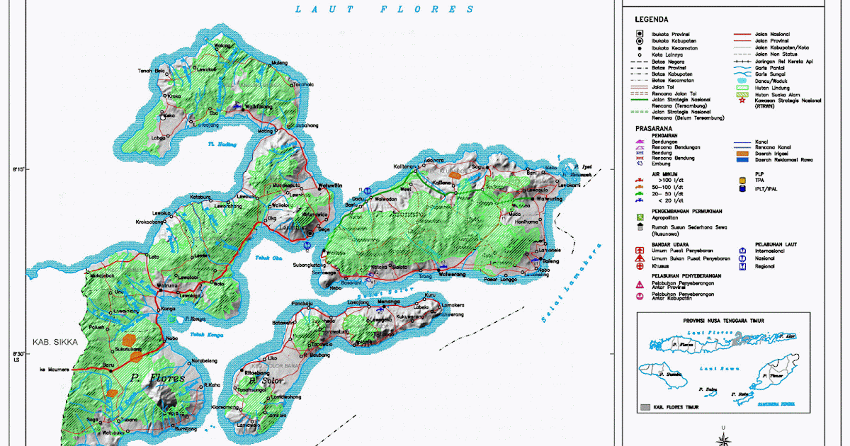 Peta Kabupaten Flores Timur