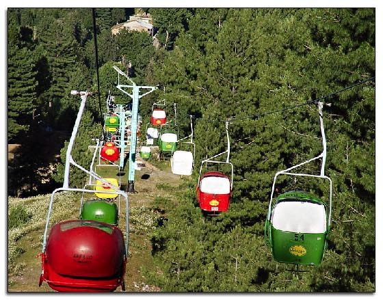 Ayubia National Park KPK Pakistan - Trango Tours