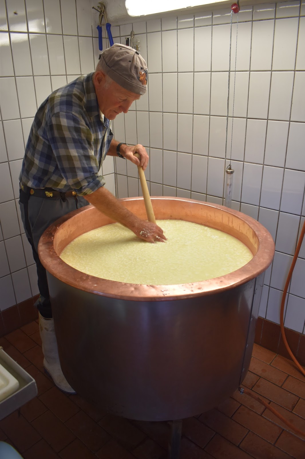 Trainees On Tour - Grand Tour of Switzerland: Cheese making on the Alp ...