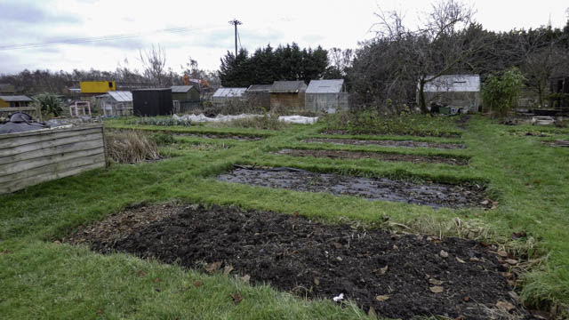 Our Plot at Green Lane Allotments: End of 2017 on the allotment