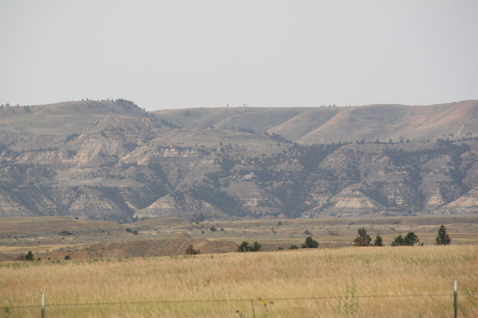 Pushing for Progress: Visit to Colstrip Generating Station