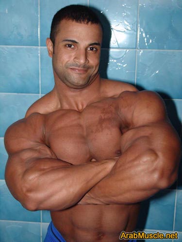 Muscle Lover: Egyptian bodybuilder Ahmed El Wardany