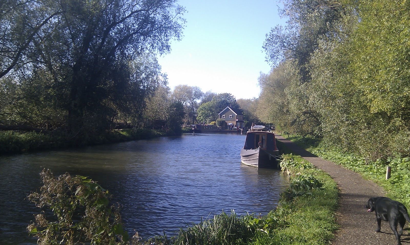 My Adventures!!: Walk around Roydon,Essex 18th October 2011