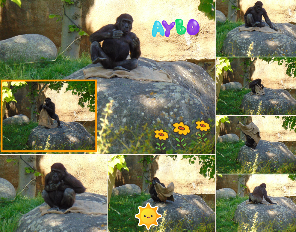 Welkom op Loekje 19: december 2018