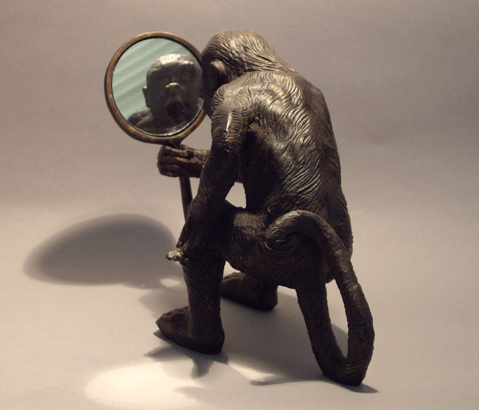 Afraid to Face in the Mirror Funny Monkey