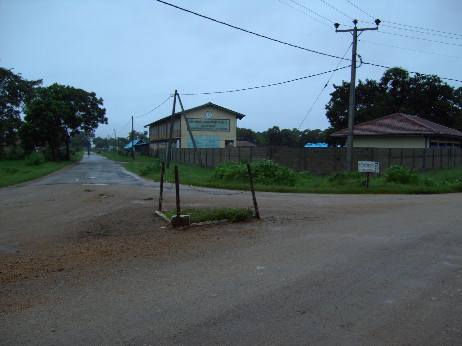 Adampan,Aandankulam | Mannar Photos