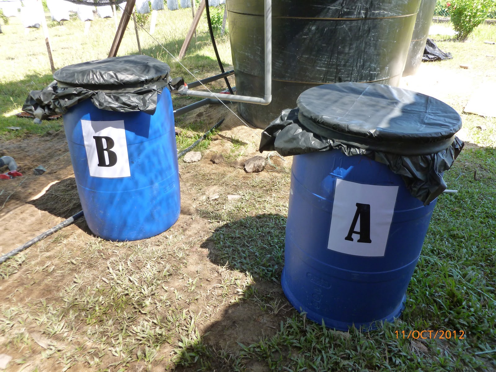 OBO: Projek Tanaman Timun Fertigasi Terbuka Di SMK Kuala Jengal, Dungun ...