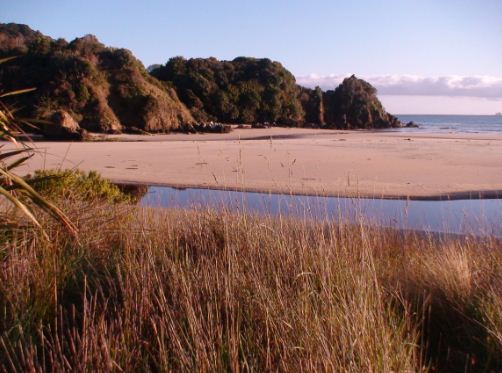 Backroader: Return to Whenua Hou (Codfish Island)