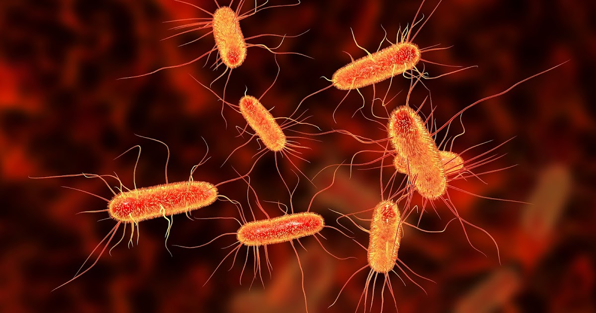 eScienceCommons: Biophysicists discover how small populations of ...