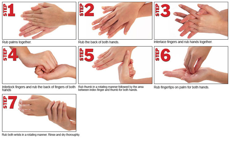7 Steps To Keep Your Hands Clean: ~ Seven