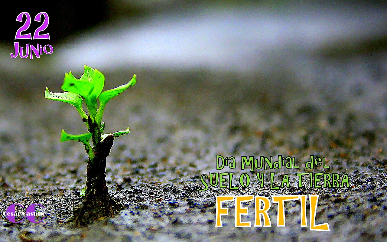 somosxinkas.com: DIVULGACIÓN: 22 DE JUNIO DIA MUNDIAL DE LA TIERRA FERTIL