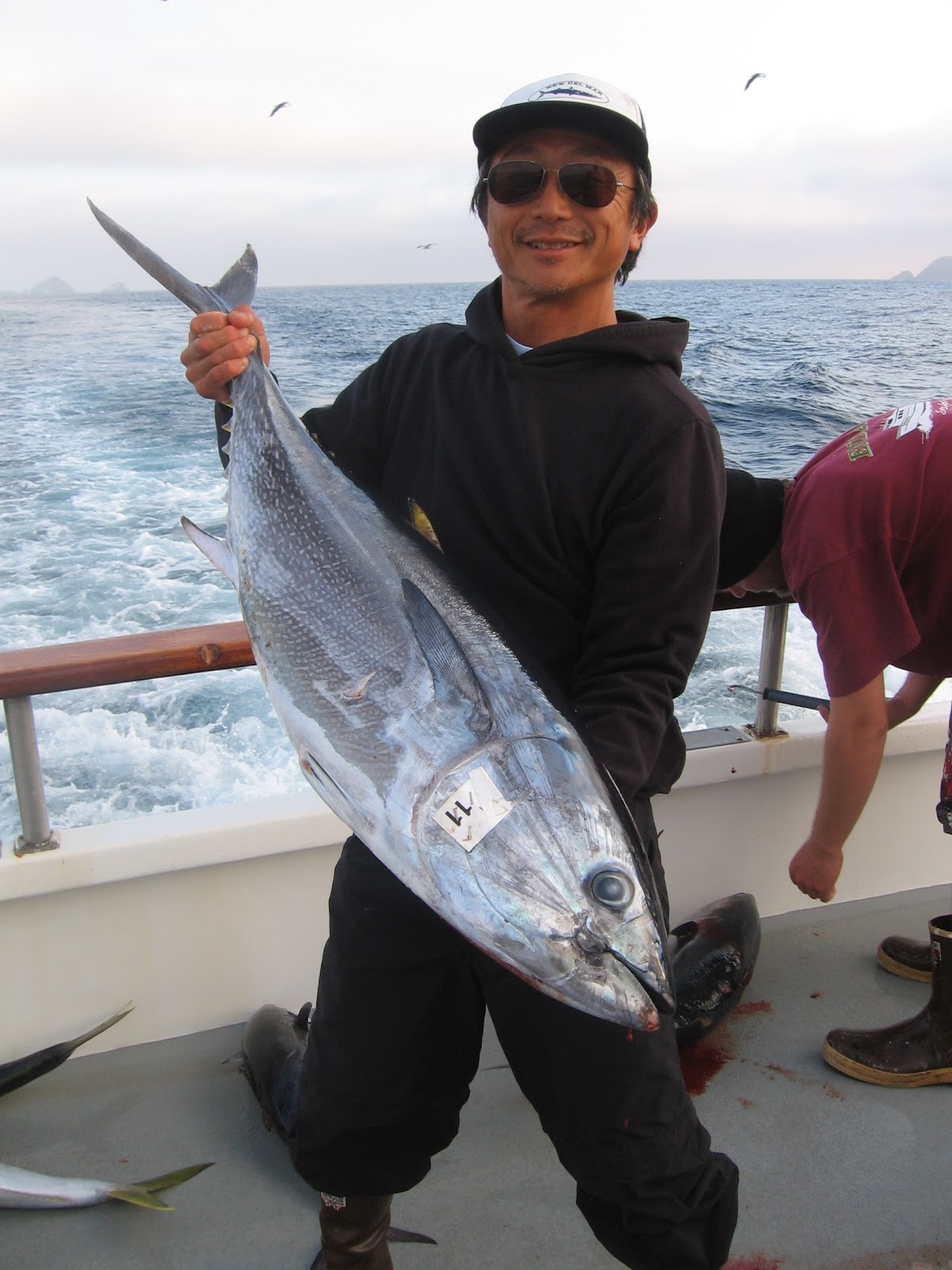 Maggie's Garden Home: Jack Pot Tuna Time! Summer fun with Endeavor ...