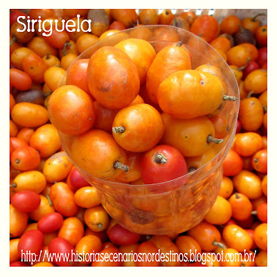 Histórias e Cenários Nordestinos: Siriguela