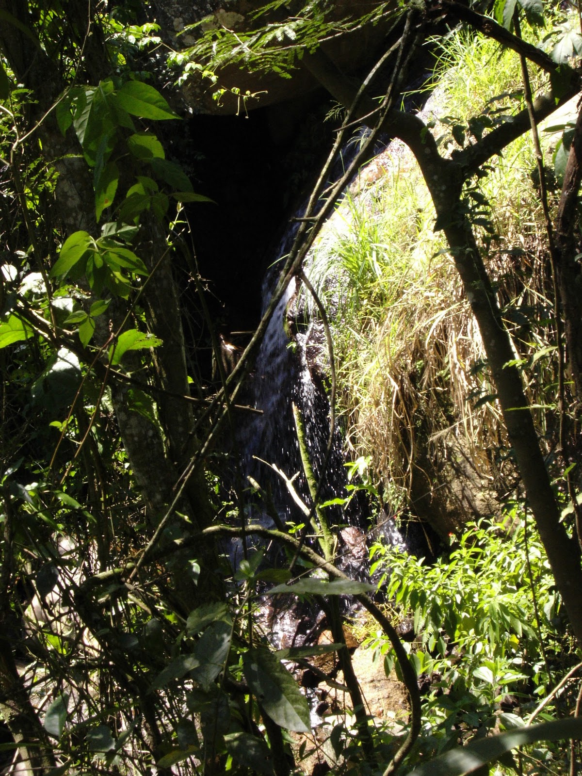 Trilhas e Pedais : Caminho do Quitite (cachoeiras perdidas de Jacarepaguá)