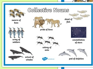 Collective noun of animals