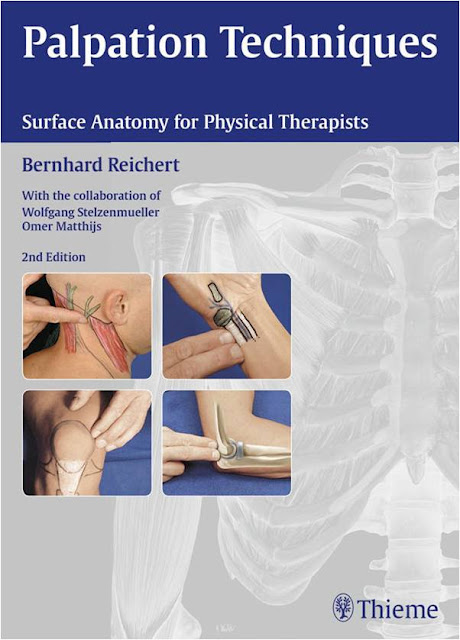 Palpation Techniques: Surface Anatomy for Physical Therapists 2nd ...