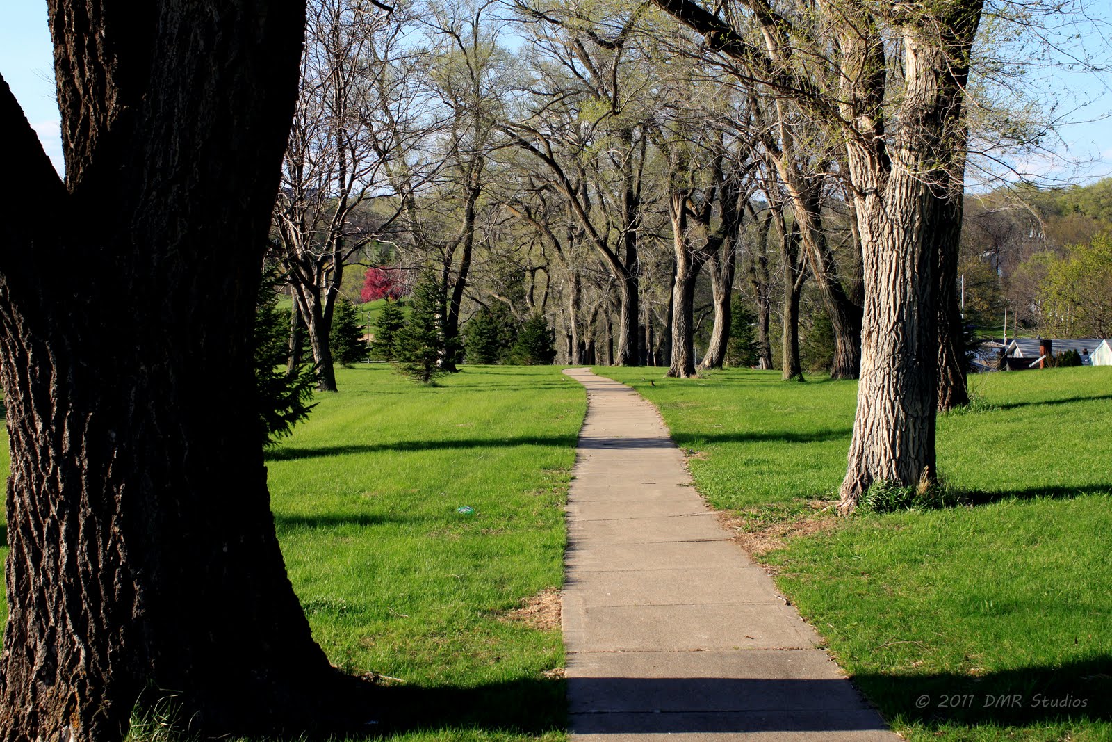 Better Living Through Photography: Neighborhood Walk 043011