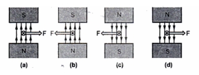 Direction of Rotation of D.C. Motor