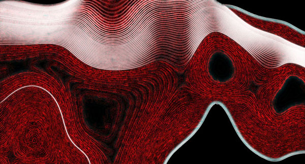 Holodeck: VICTIMLESS LEATHER