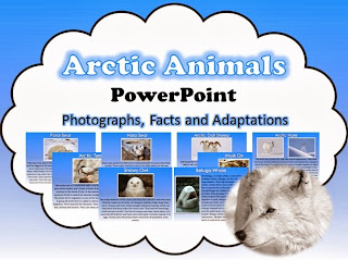Creative Lesson Cafe: Arctic Animals PowerPoint