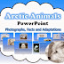 First Grade Gallery- Lessons for Little Learners: Arctic Animals PowerPoint