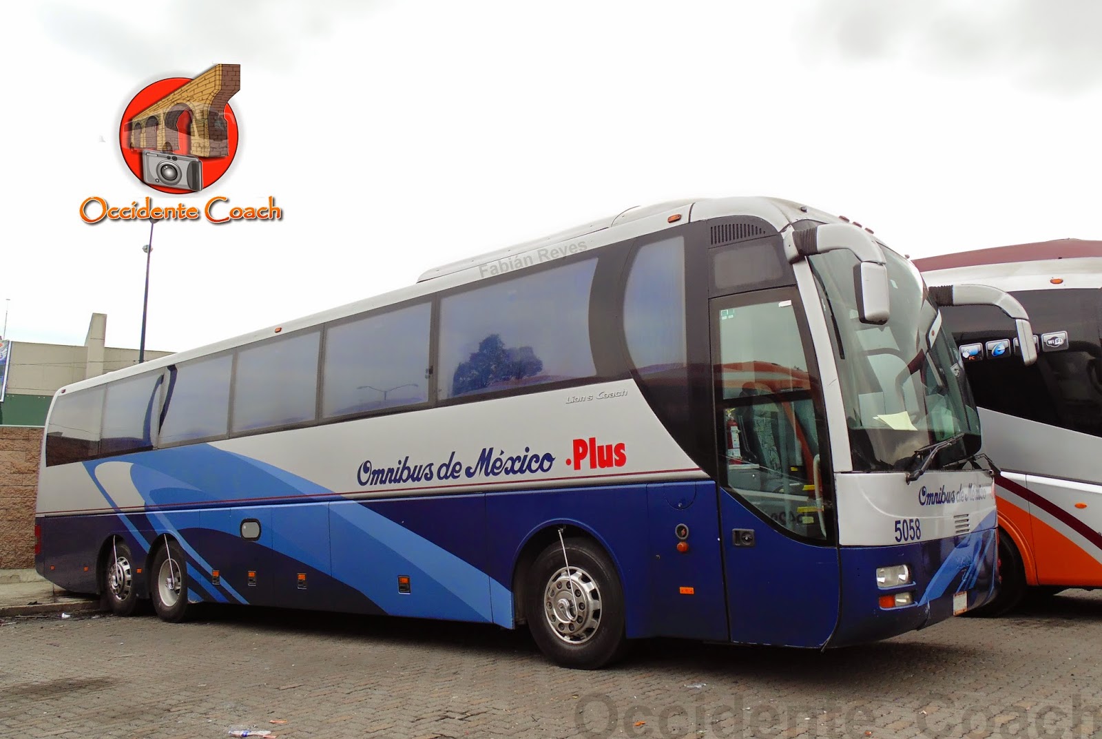 Occidente Coach: OdM plus