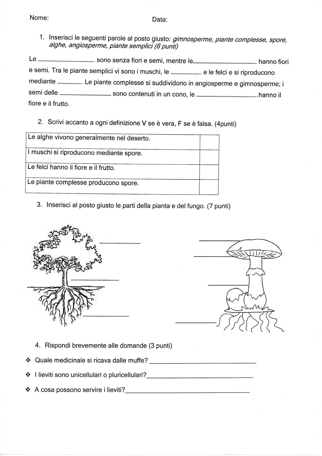 MAESTRALUCIA: Verifica scienze- funghi, piante semplici e complesse ...