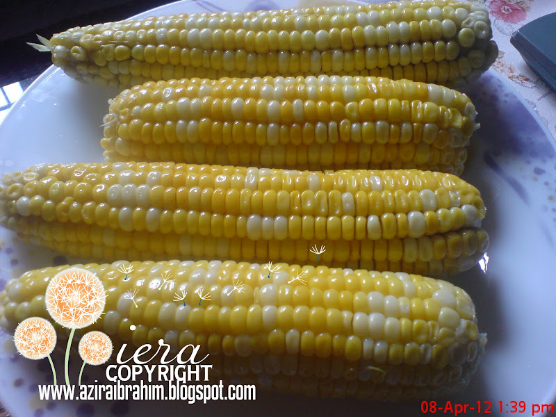 :: BiNgKiSaN KeHiDuPaNKU ::: Jagung Mutiara Cameron