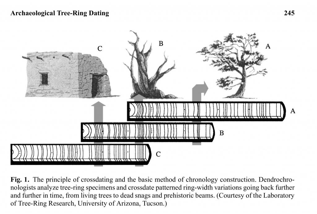 Northwest Conifer Connections: Bristlecone Pines: The Oldest Living Tree