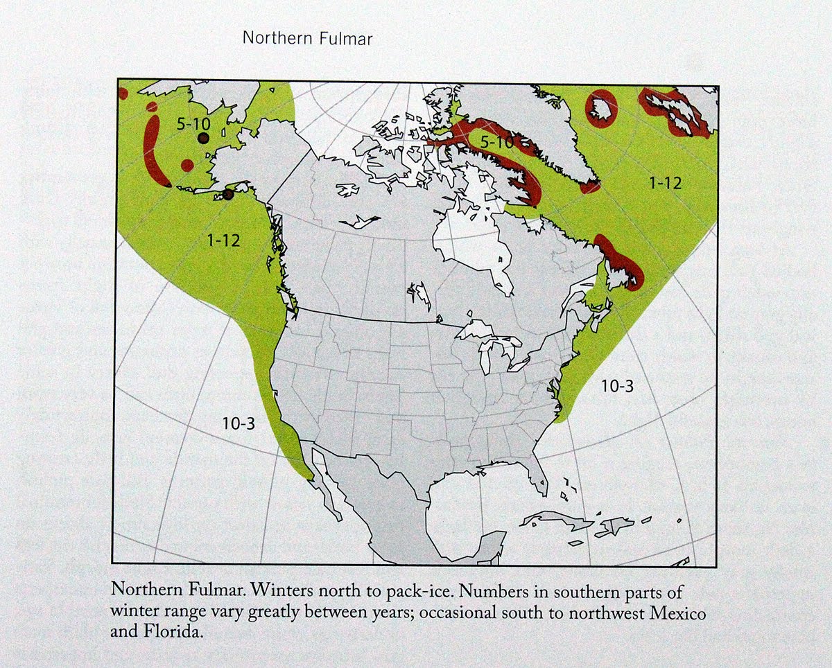 Another Bird Blog: Review: Petrels, Albatrosses & Storm-Petrels of ...