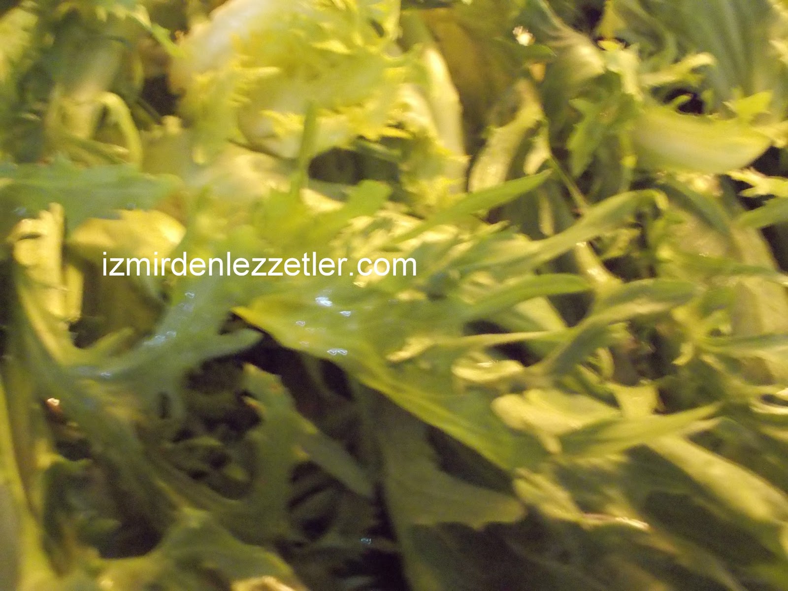 Radika Salatası | İzmirdenlezzetler