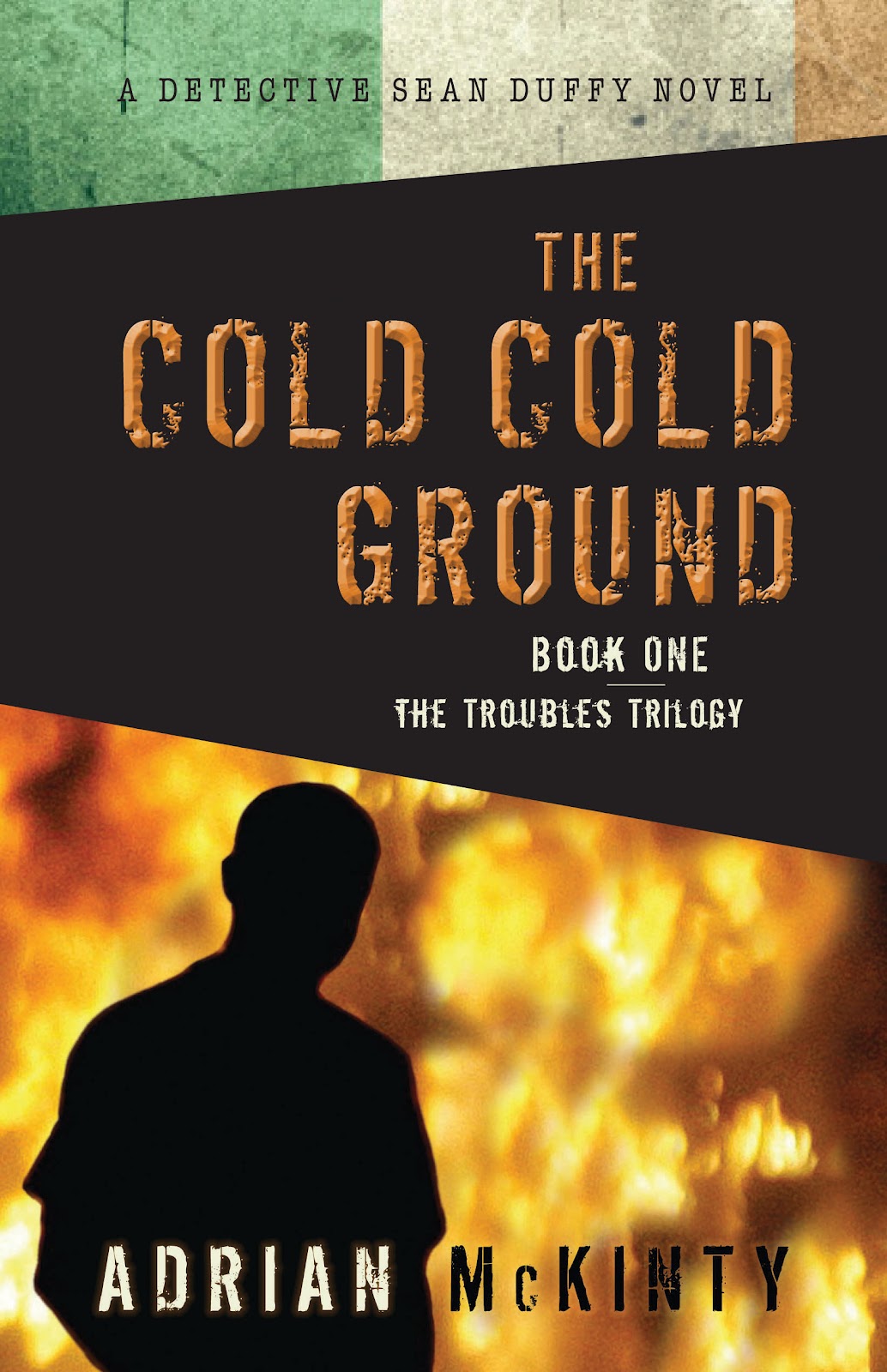 Detectives Beyond Borders: Adrian McKinty's Cold Cold Ground : Life ...