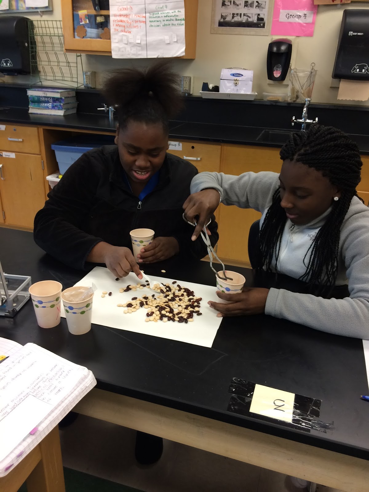 Mrs. Greeley Howard’s Biology Class: Bird Beak Lab