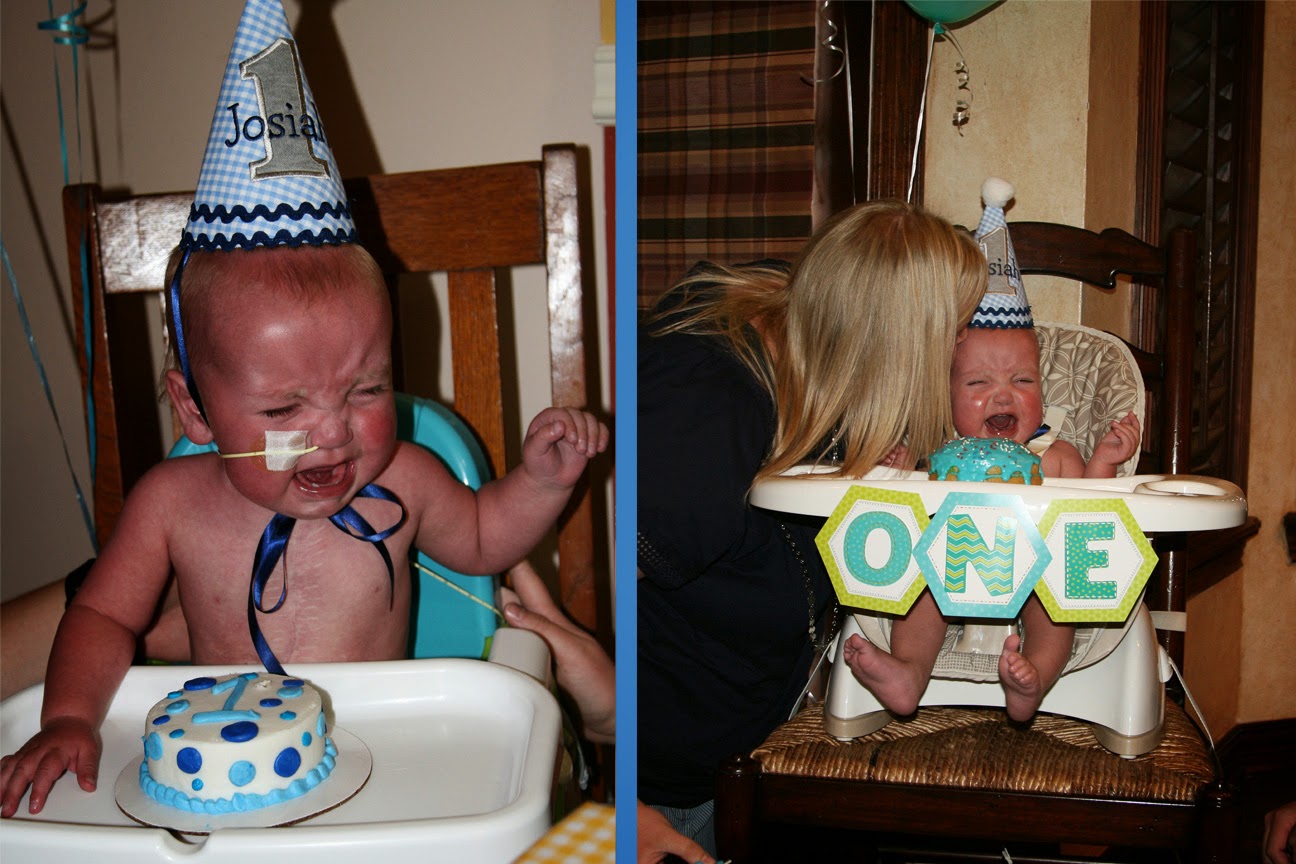 Bailey Beginnings: A Fresh Look at a New Life: Happy Birthday!