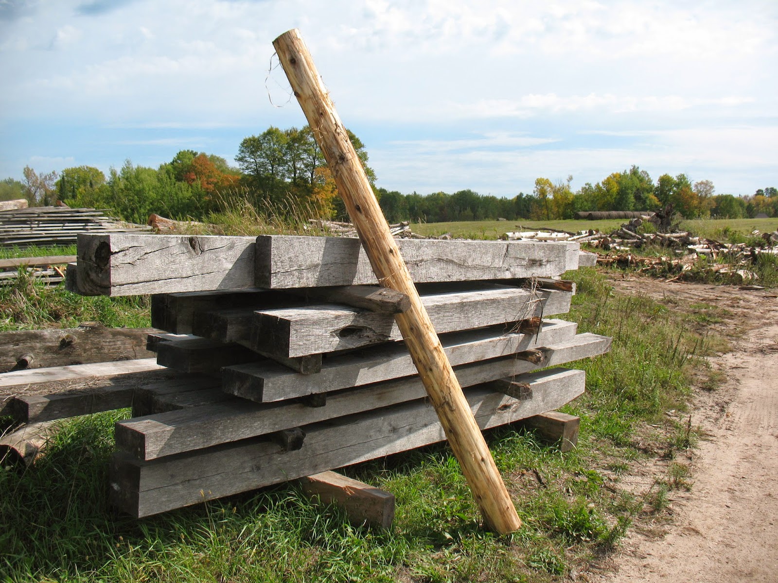 Wille Logging Lumber & Timber: Cedar Fence Posts & Poles