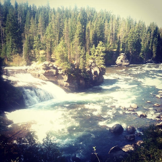 North Fork Fly Fishing: Fall River, Idaho